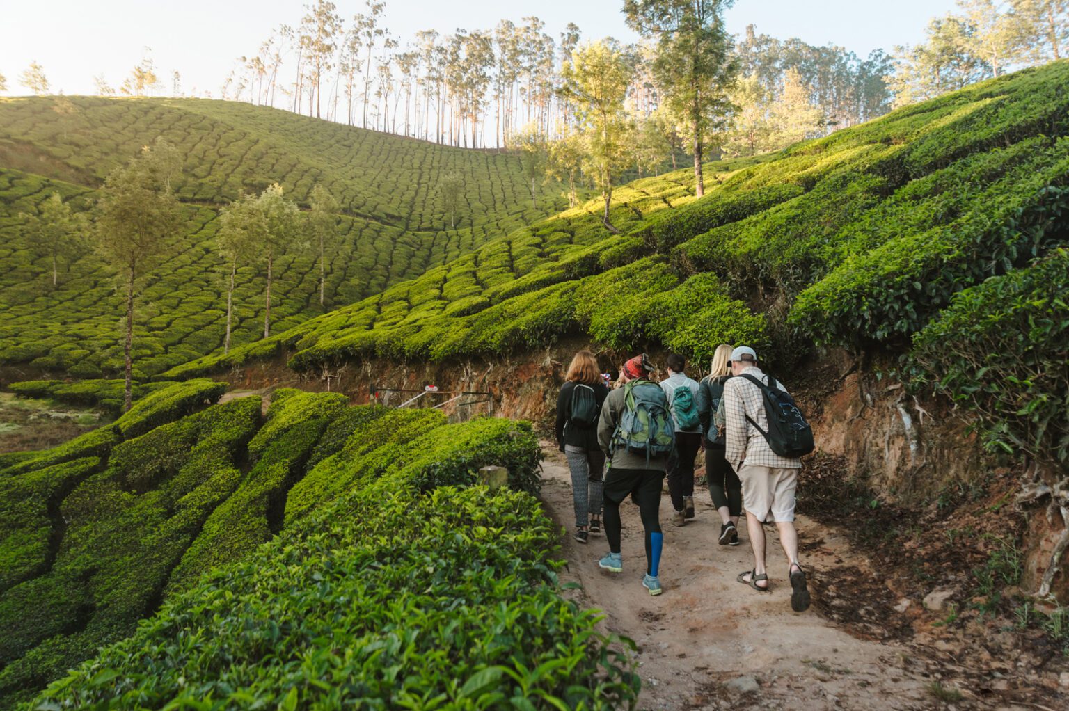 Bandung Guide: Best Things to Do, See, and Experience | Backindo