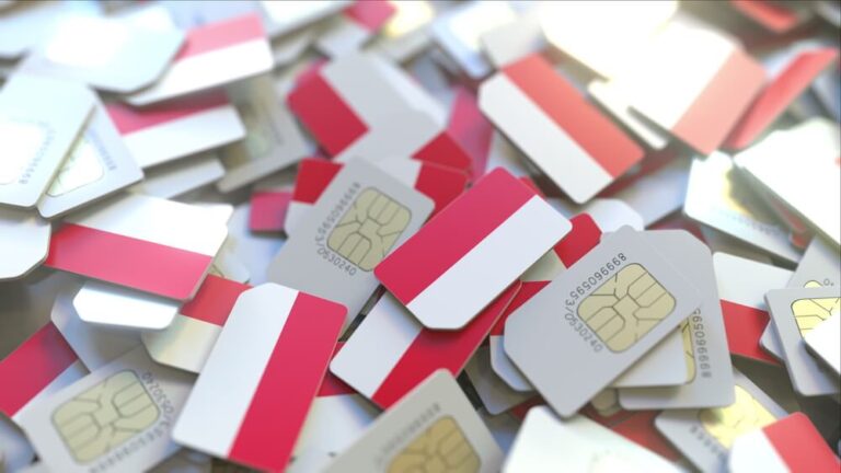 Indonesia SIM Cards & IMEI Rules for Tourists [2025] | Backindo