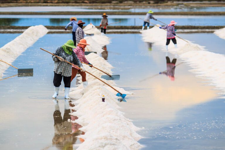 Madura: A Guide to the Island East of Surabaya | Backindo