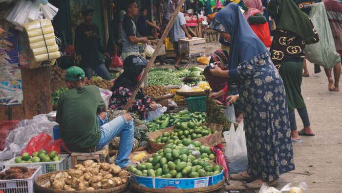 Bogor Travel Guide: What to See, Do and Expect [2026] | Backindo