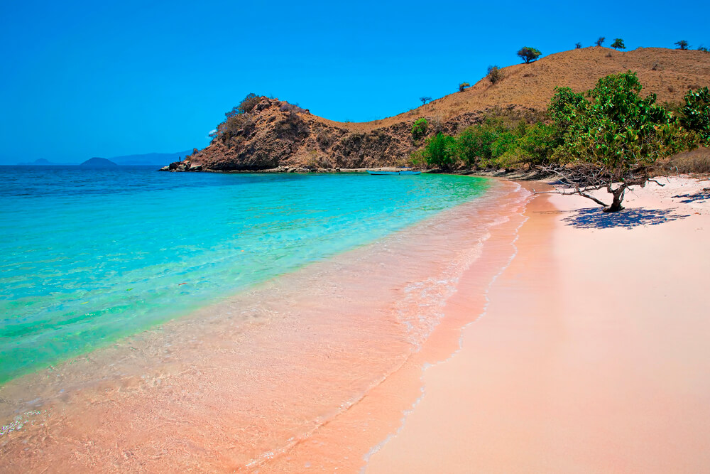 Komodo National Park: What to See, Do & How to Get There | Backindo